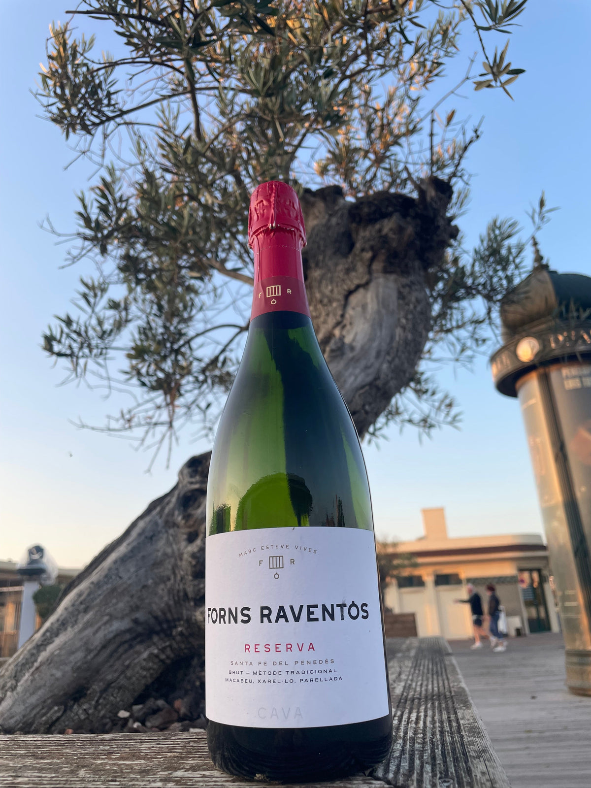 What is cava? - An introduction to Spanish sparkling wine