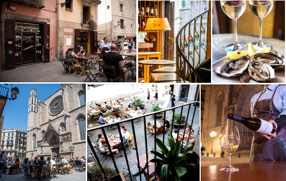 Top 7 Cava Bars in Barcelona