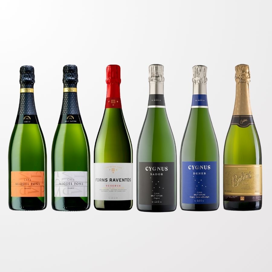 Cava | Tasting box with organic cava from Spain in the Reserva category